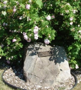 Loyalist Rose Plaque – UELAC